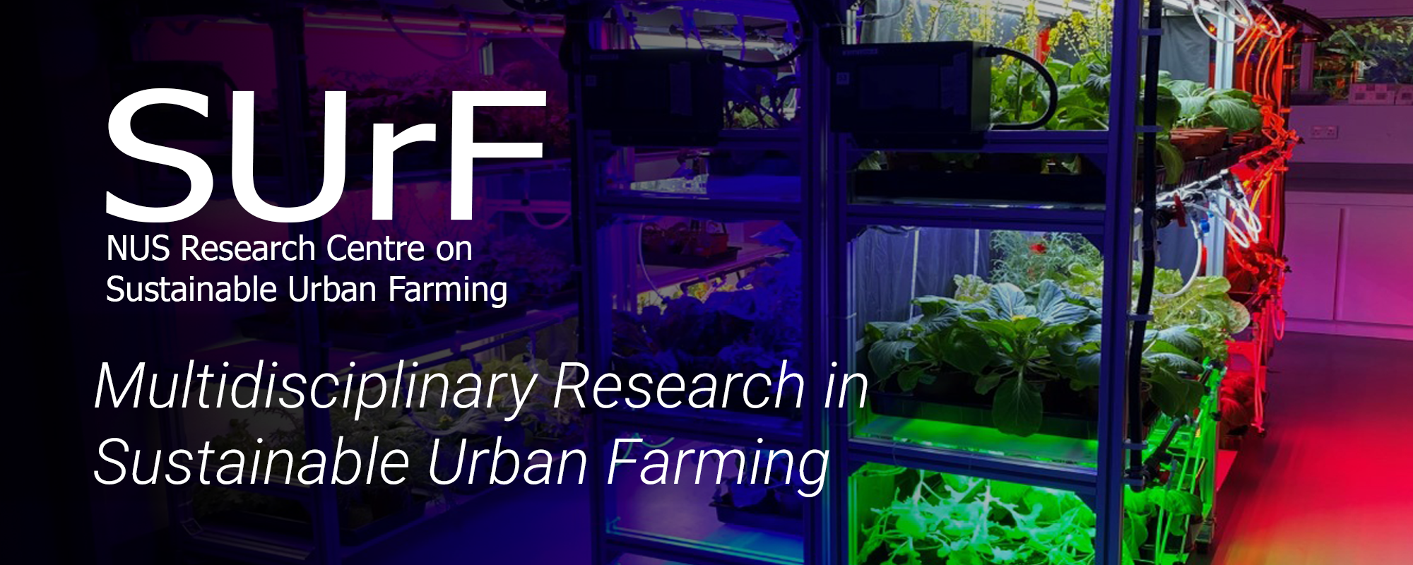 Department of Food Science and Technology